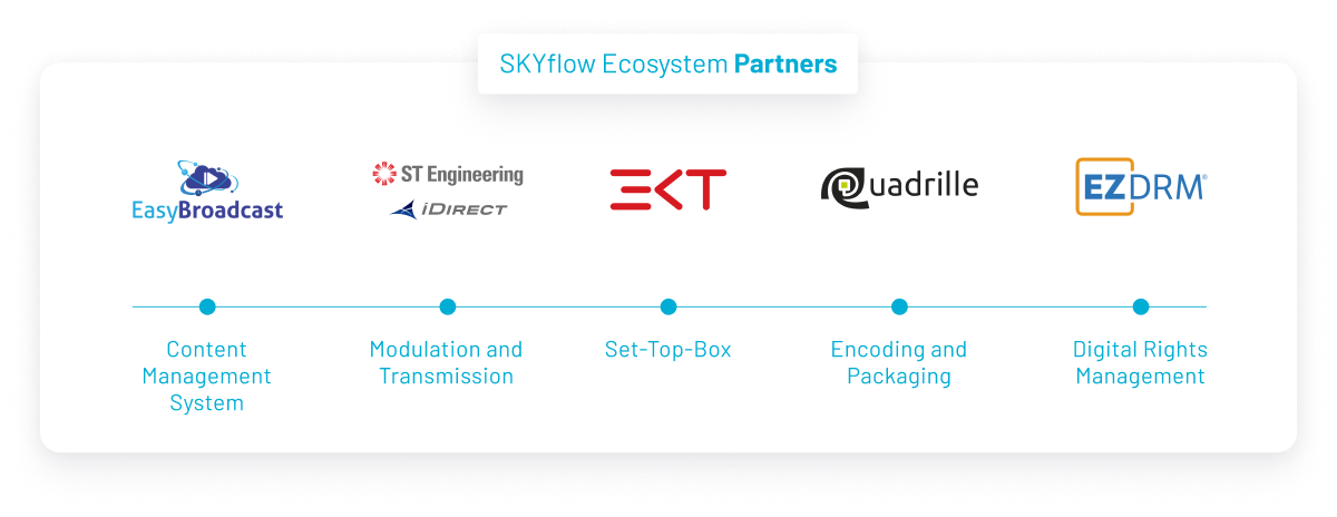 Skyflow's Vision for Diverse Content Delivery in Africa - TechAfrica News
