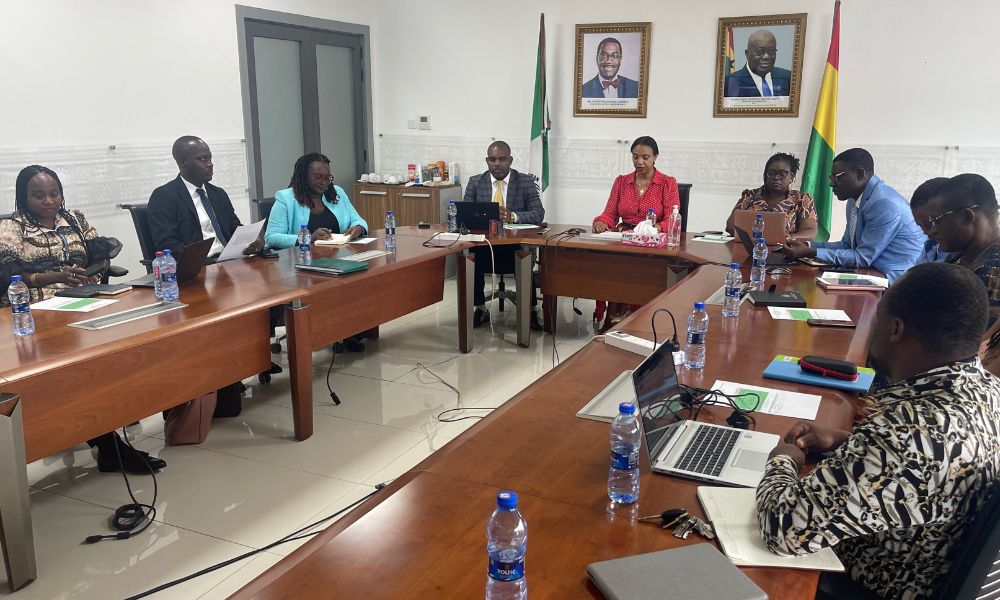 African Development Bank and Invest in Africa Launch MicroGREEN Project ...